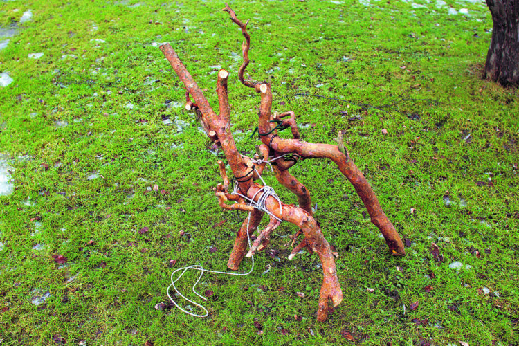 DIY Pine Branch Chair - Grit
